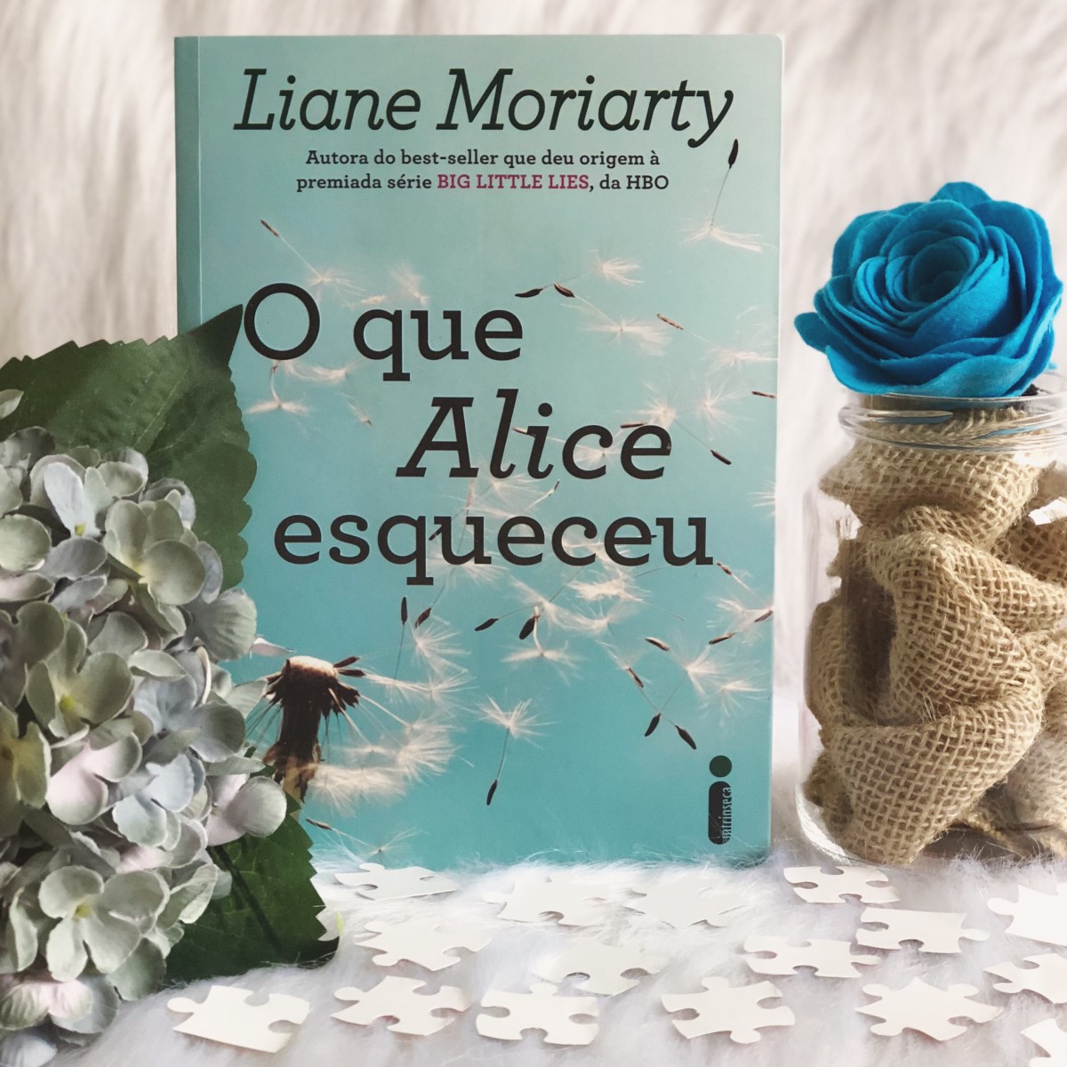 Semana especial Liane Moriarty: Resenha de O que Alice esqueceu – Namanita