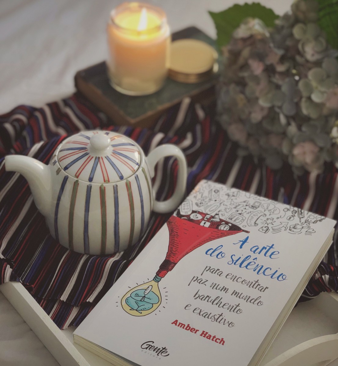 Resenha de A Arte do Silêncio – Amber Hatch – Namanita